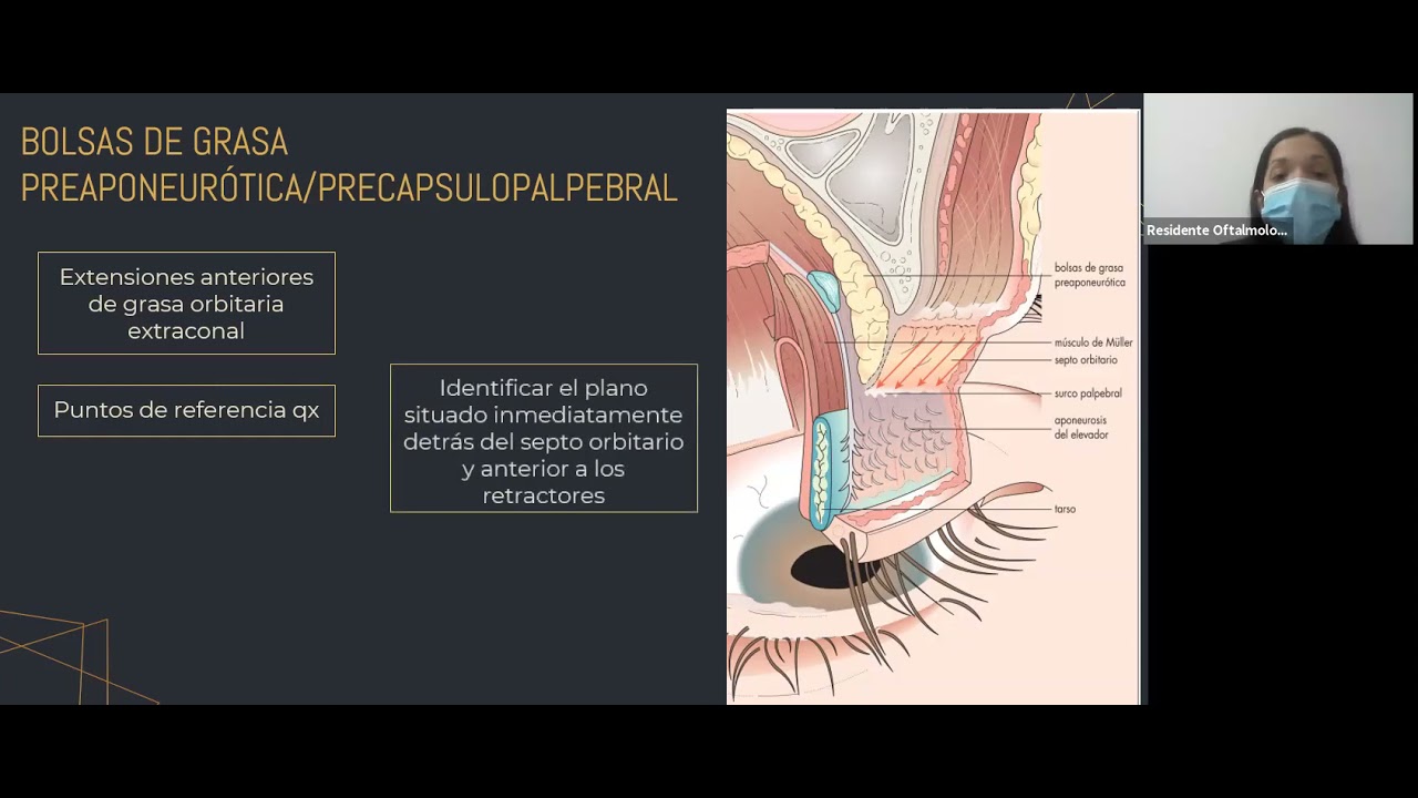 Anatomía De Párpados Dra Nathalie Márquez Youtube
