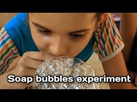 Soap Bubbles Experiment Experiment School Experiments Youtube