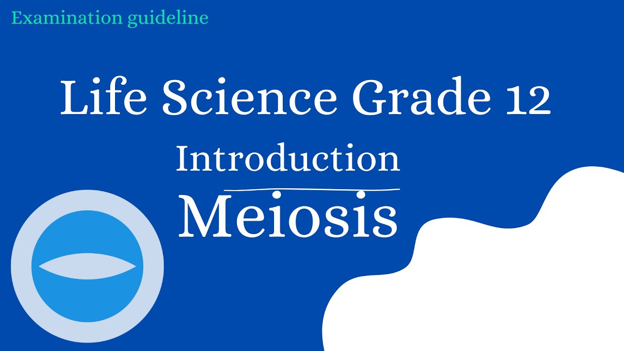 Life Science Grade 12 Meiosis Examination Guideline Full