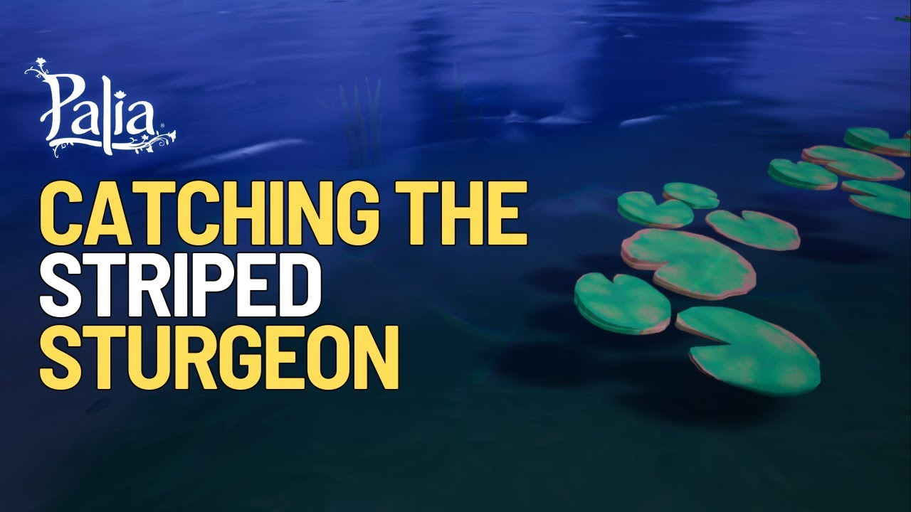 Where To Find The Striped Sturgeon In Palia Youtube