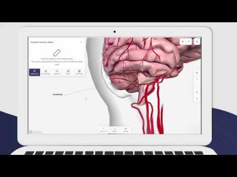 What Is Biomap Youtube