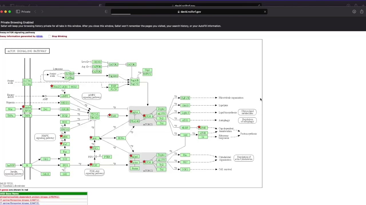 Cmap Analysis Youtube