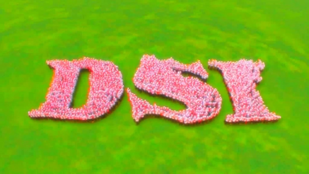 Dsi Youtube