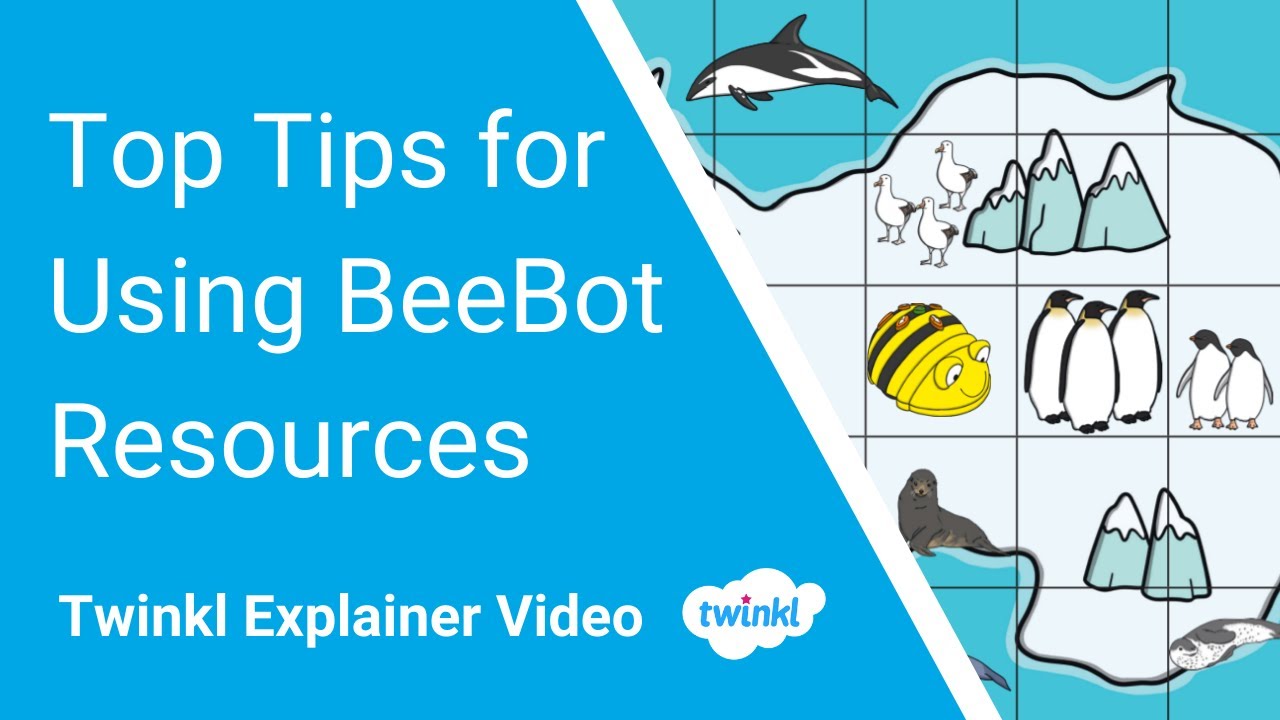 Top Tips For Using Beebot Resources Youtube