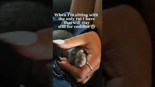 Lilpudding Bowls Mp3 Music & Mp4 video downloads