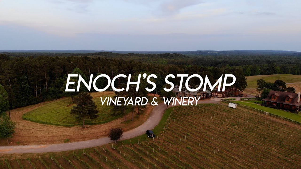 Visiting Our Favorite Winery Enoch S Stomp Youtube