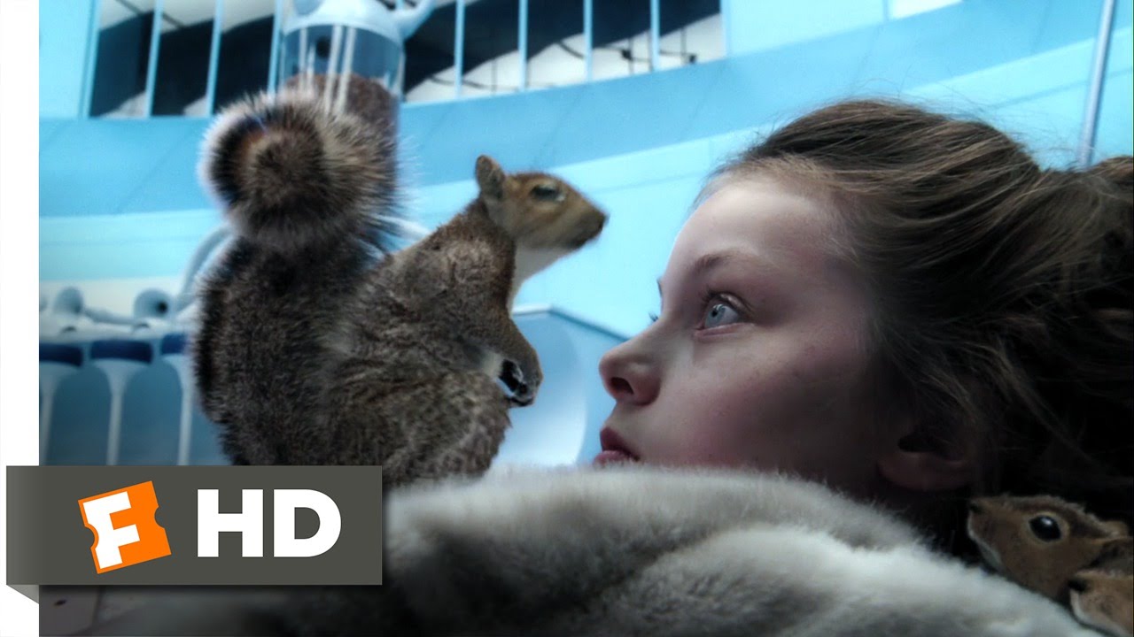 Charlie And The Chocolate Factory Veruca Salt Squirrel