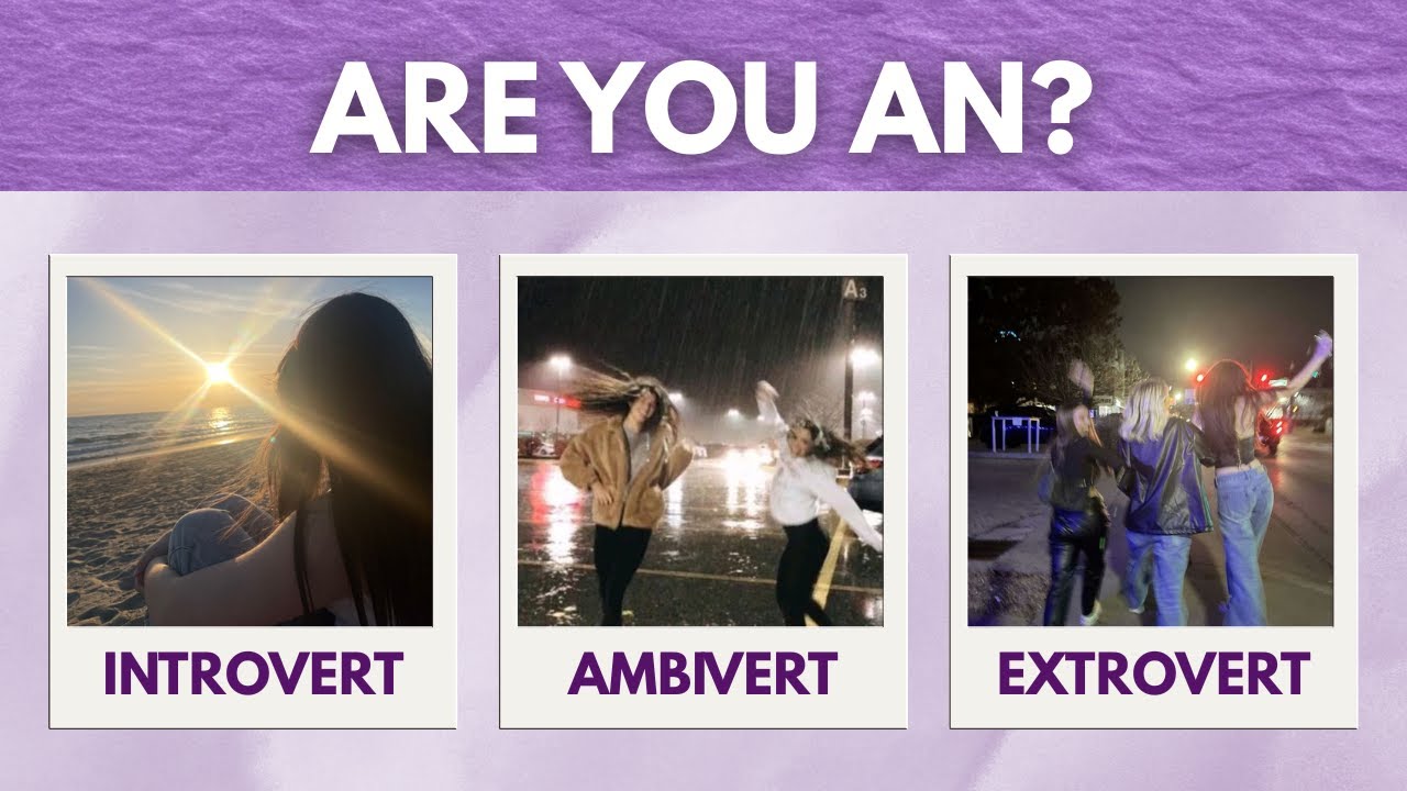 Are You An Introvert Ambivert Or Extrovert ёяжл Aesthetic Personality
