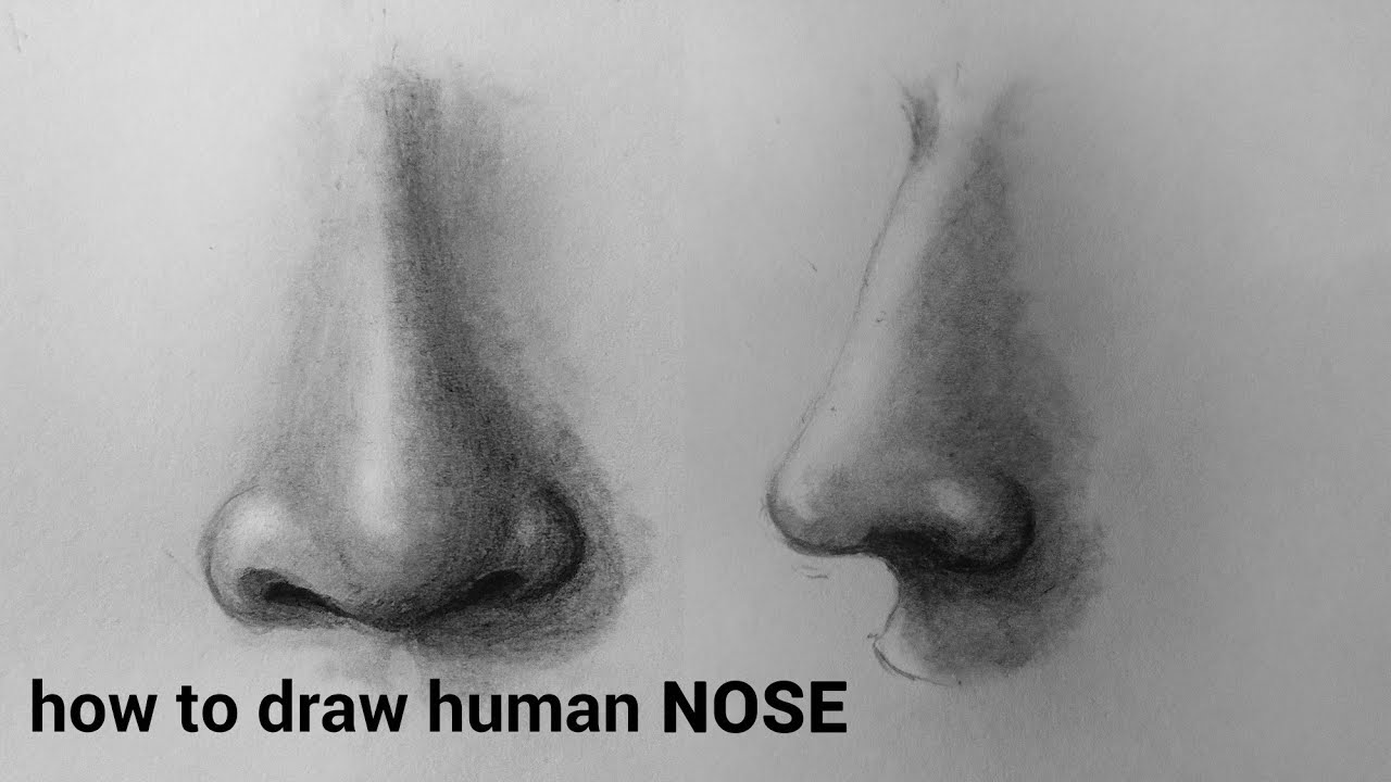 Human Nose Drawing Tutorial