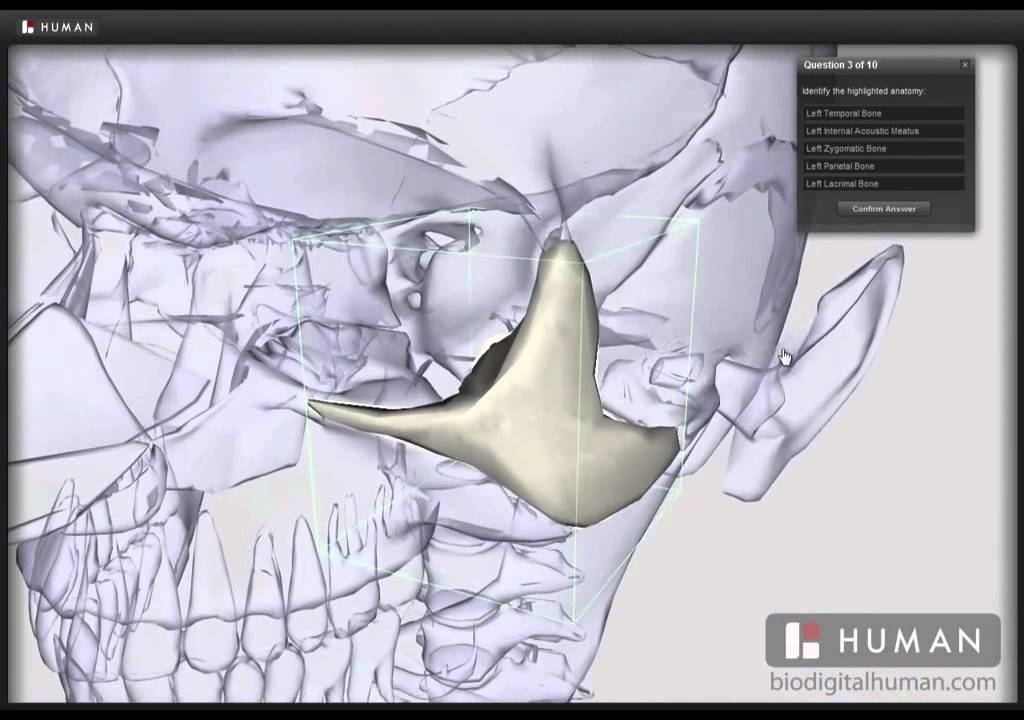 Biodigital Human 1 0 Explore The Body In 3d Youtube