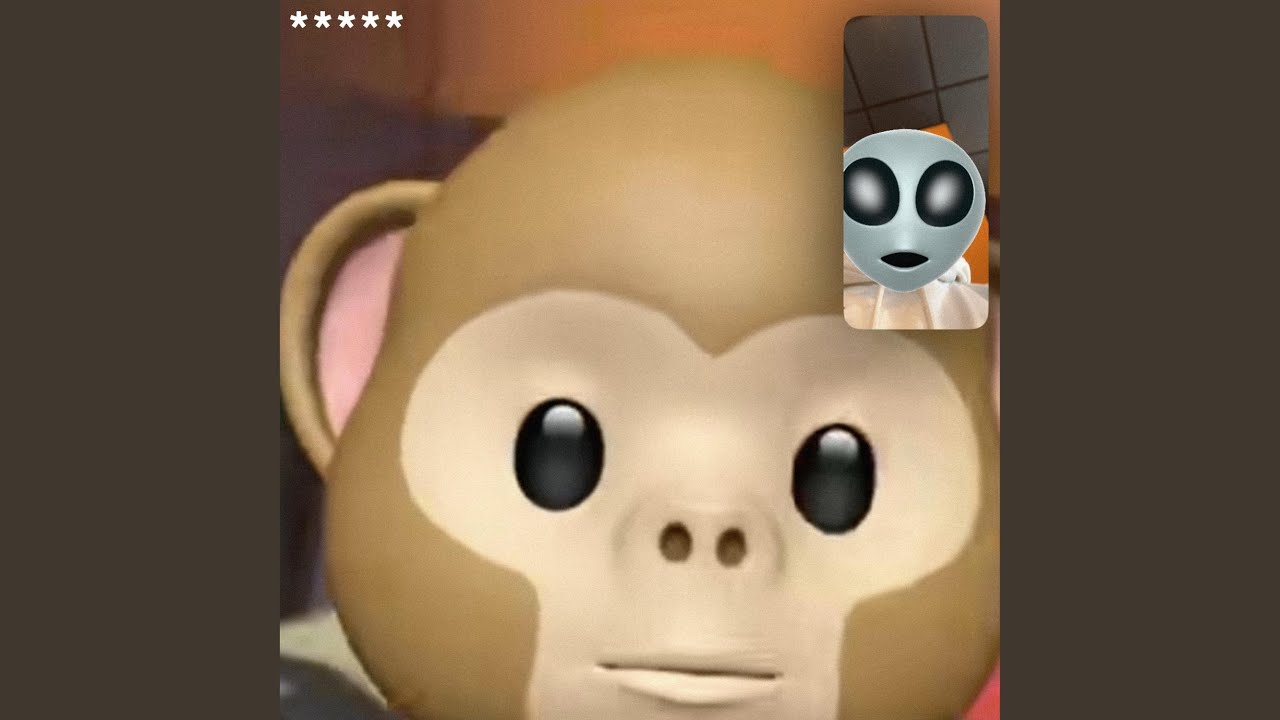 Monkey Youtube