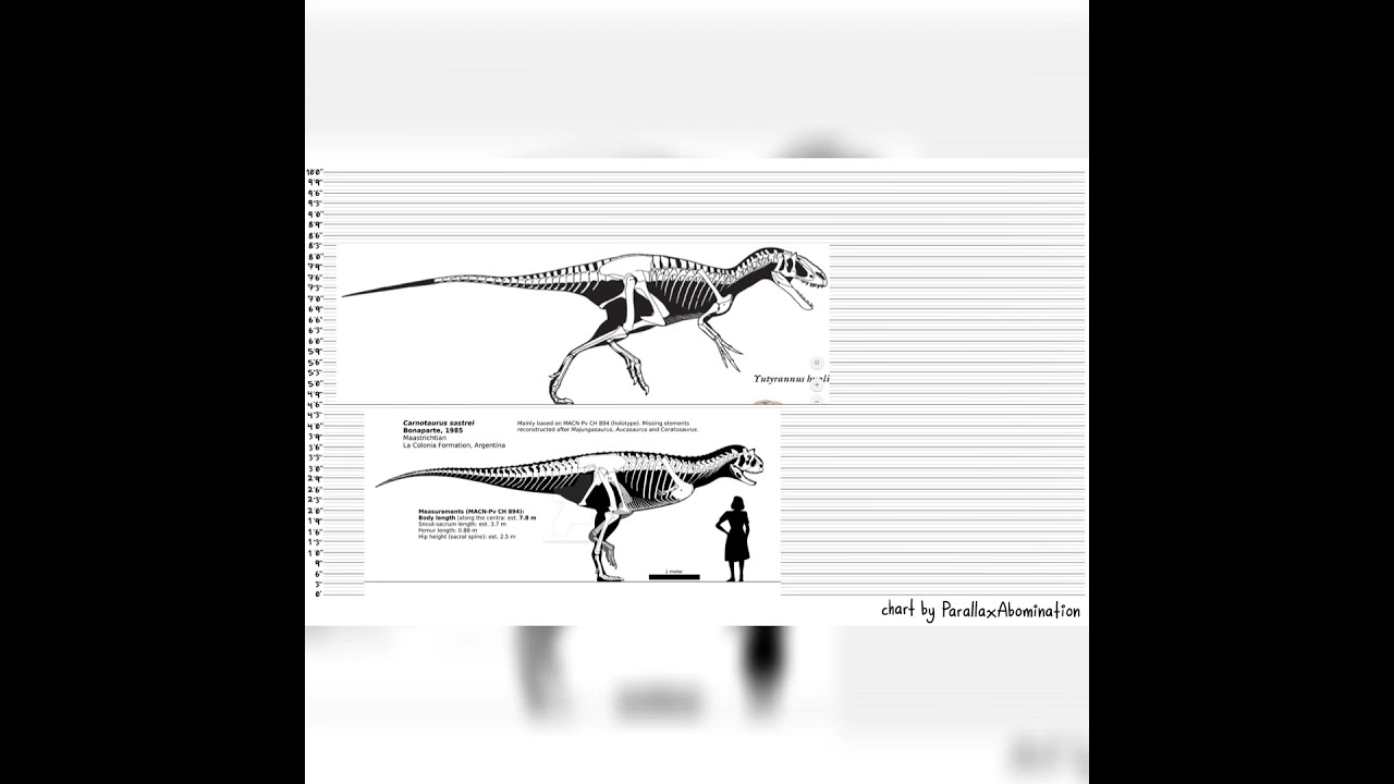 Yutyrannus Compared To Carnotaurus Youtube