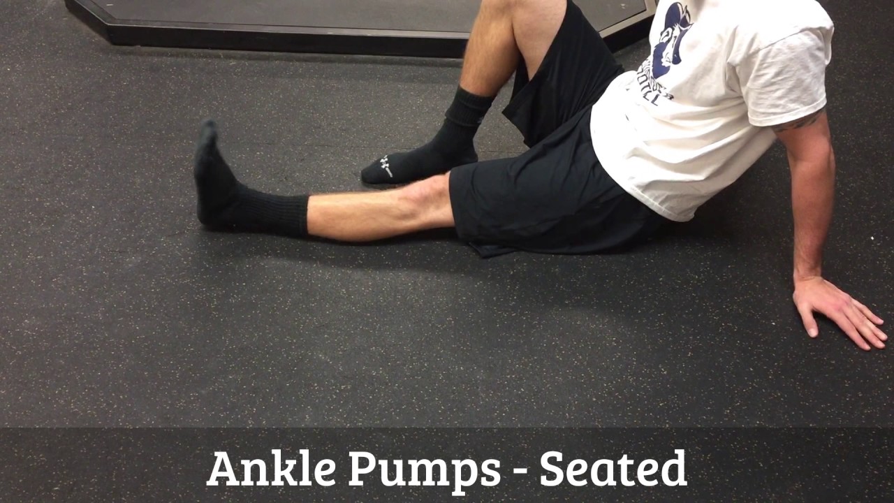 Seated Ankle Pumps