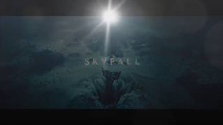 Adele Skyfall Karaoke Male Version Chords Chordify