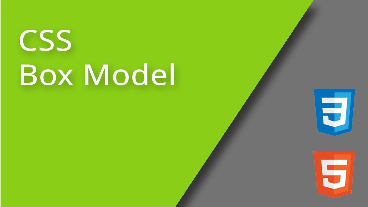 Css Box Model Youtube