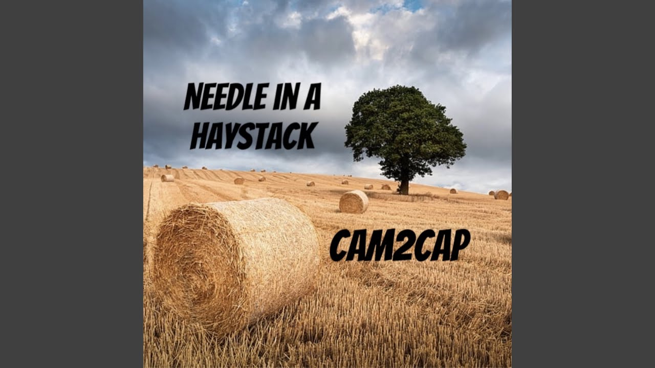Needle In A Haystack Youtube