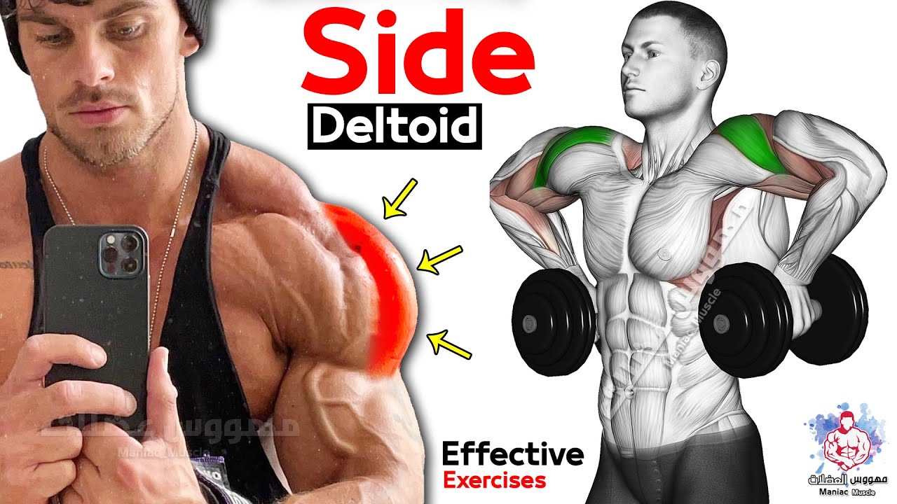 Side Delt Exercises
