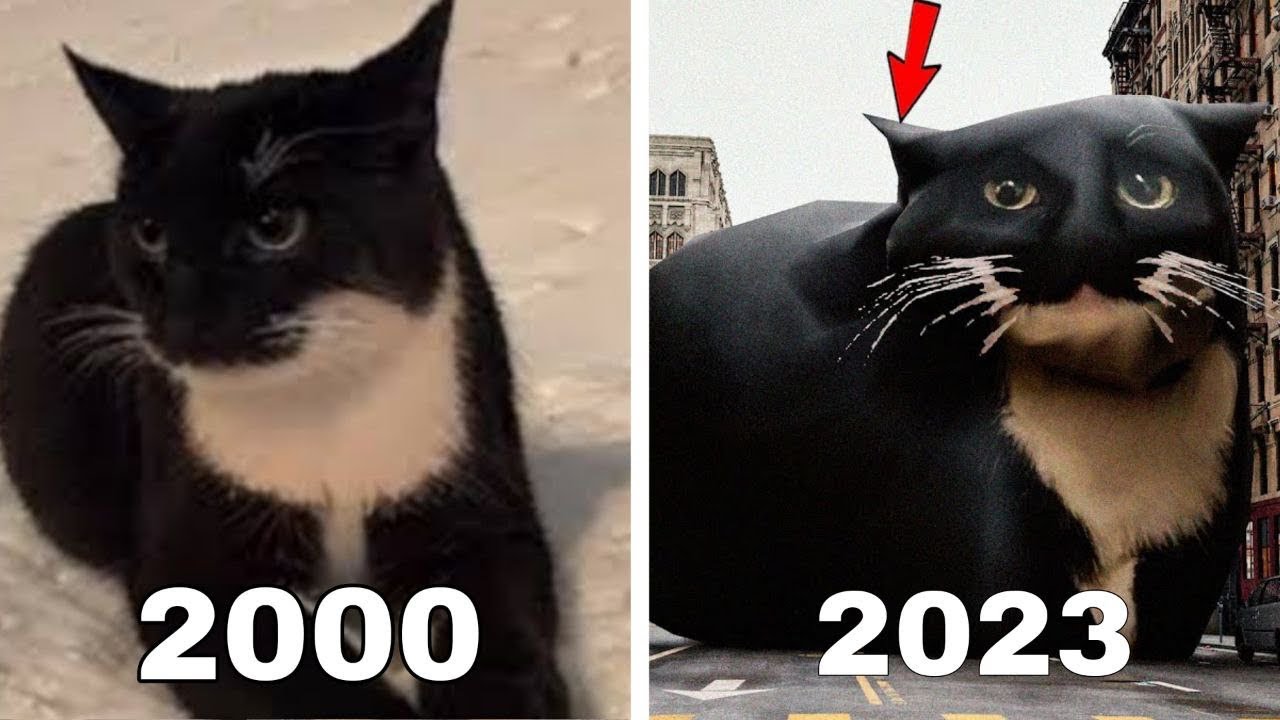 Evolution Of Maxwell The Cat Version 2 Youtube