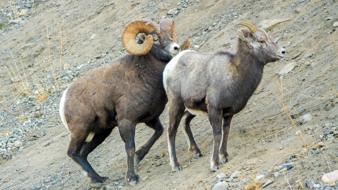 Jumble Solved 05 27 22 Unclerave S Wordy Weblog