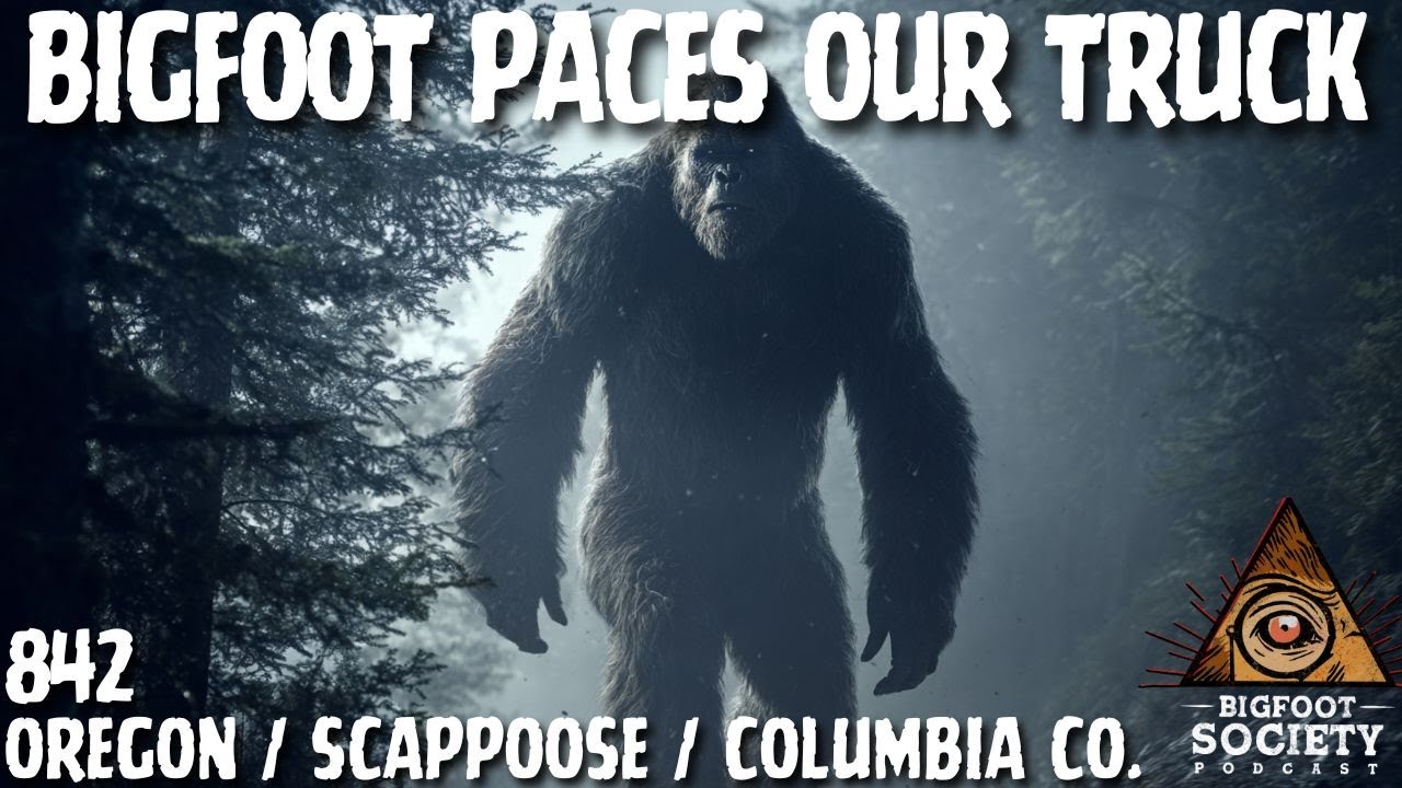 Videos Bigfoot Society