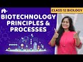Class 12 Biology Biotechnology Principles And Processes Notes Cbse Jee ...