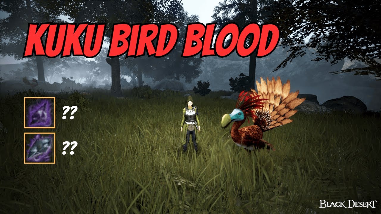 Bdo Life Kuku Bird Blood 2650 Mastery Youtube