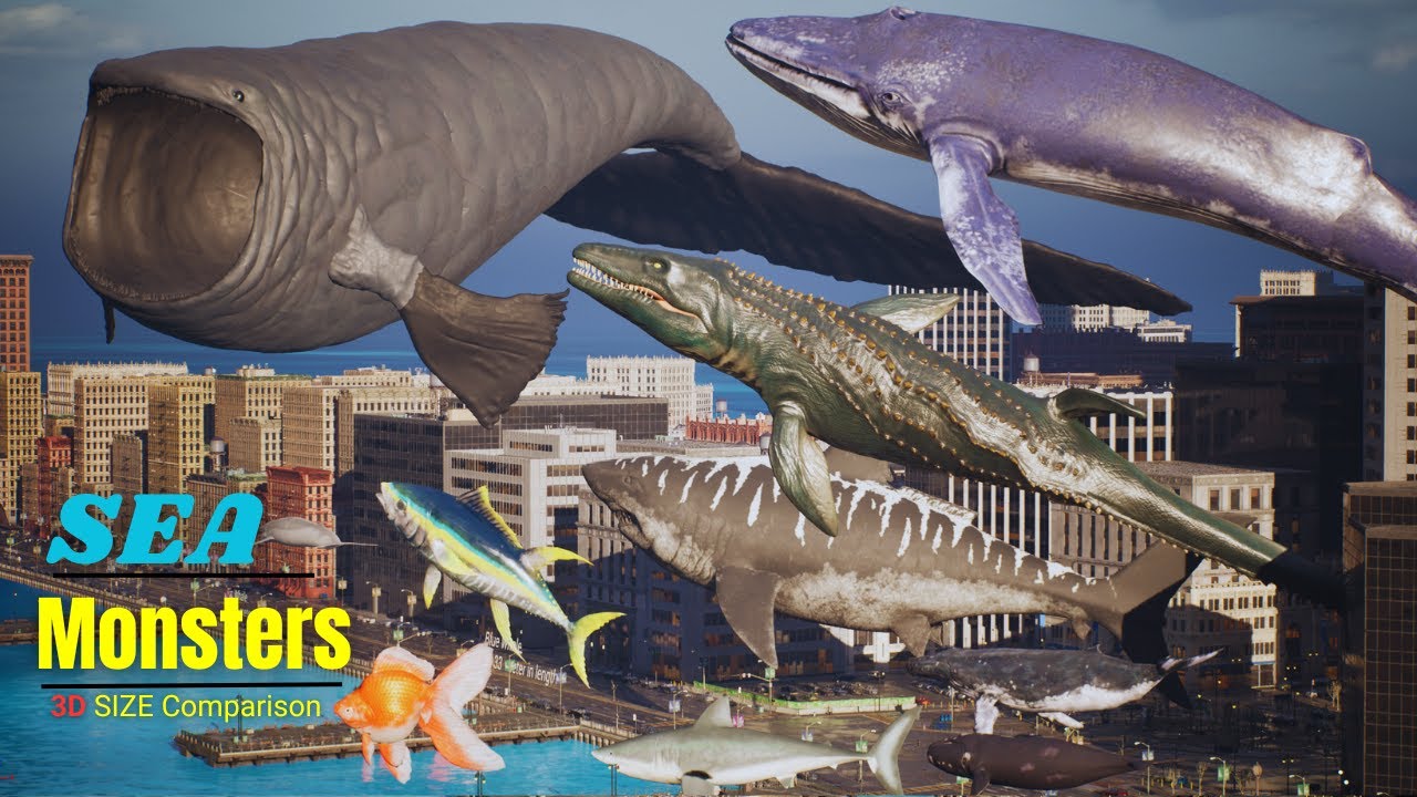 Epic 3d Size Comparison Of Sea Creatures Most Amazing Sea Creatures