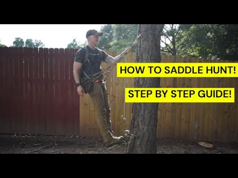 How To Saddle Hunt Saddle Hunting 101 Youtube