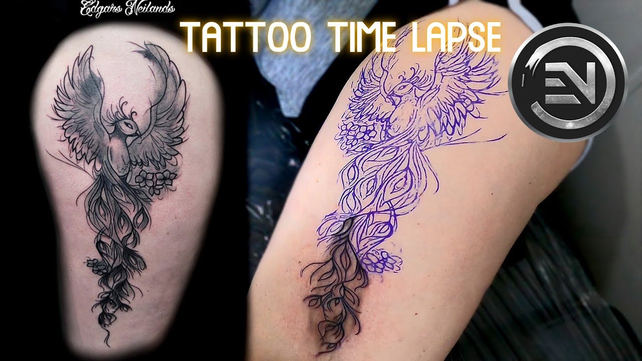 Phoenix Tattoo Time Lapse Youtube