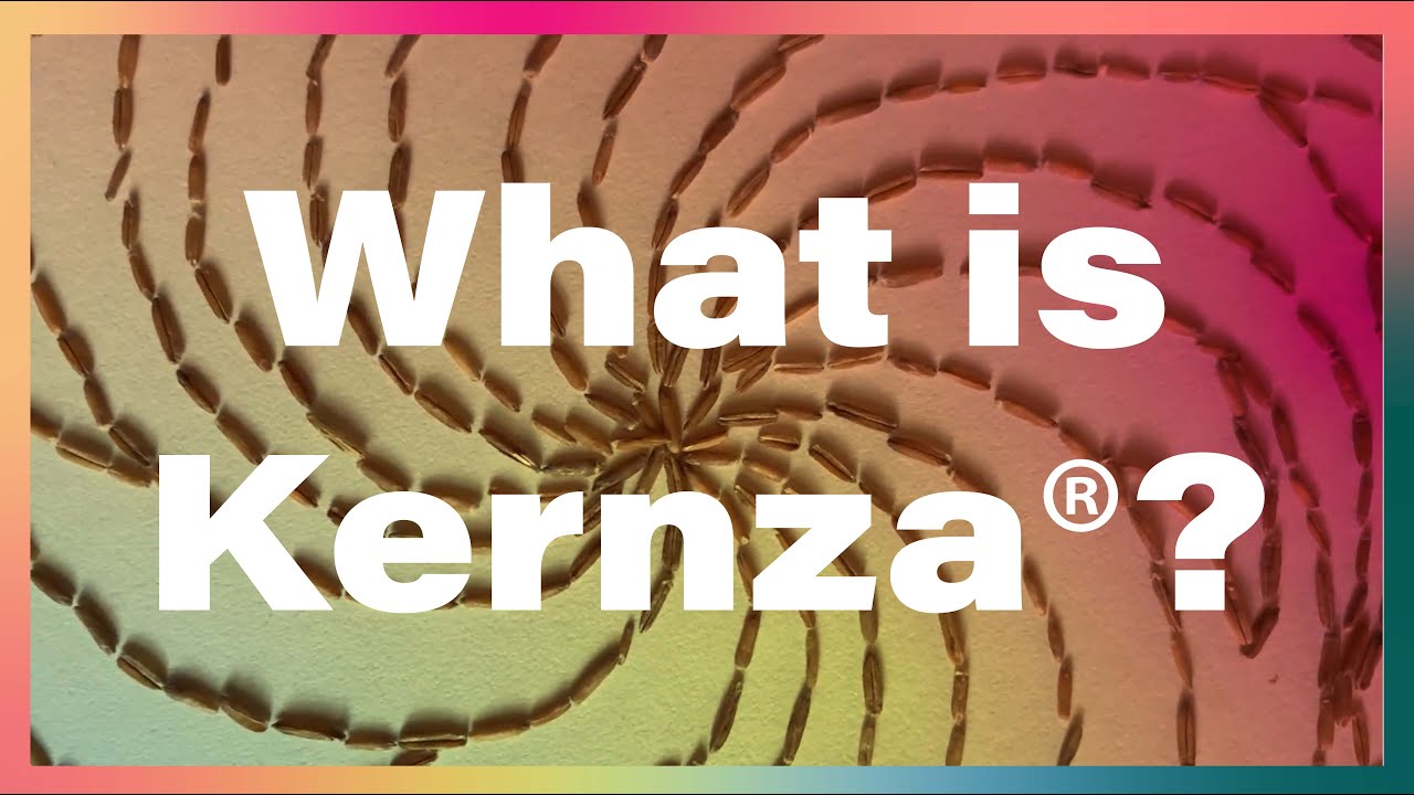 Kernza In Context Intro To Kernza Youtube