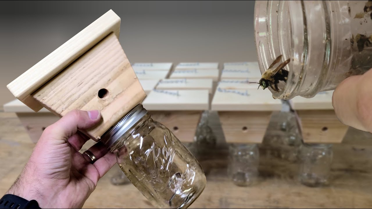 How To Make The Best Carpenter Bee Trap That Actually Works Youtube