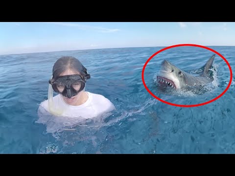 30 Scariest Shark Encounters Ever Caught On Camera Part 2 Youtube