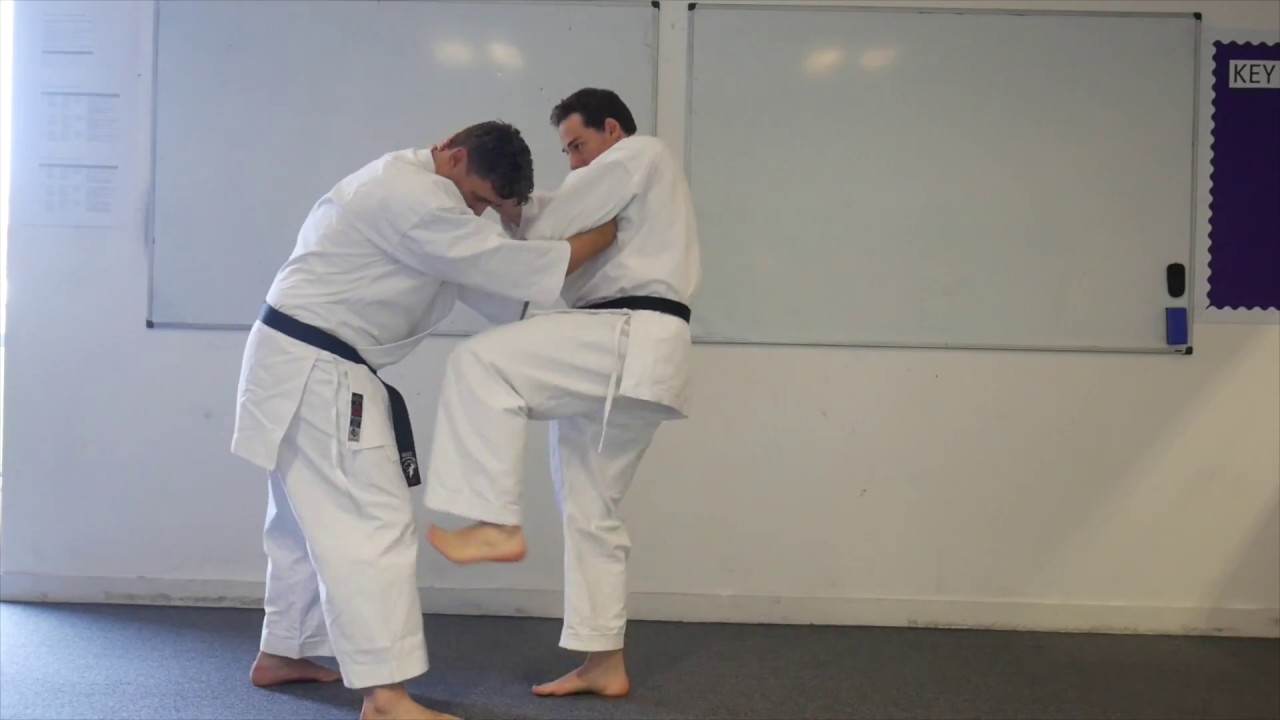 Karate Kata Bunkai Sochin Bunkai For Opening Movements Bunkai Of The