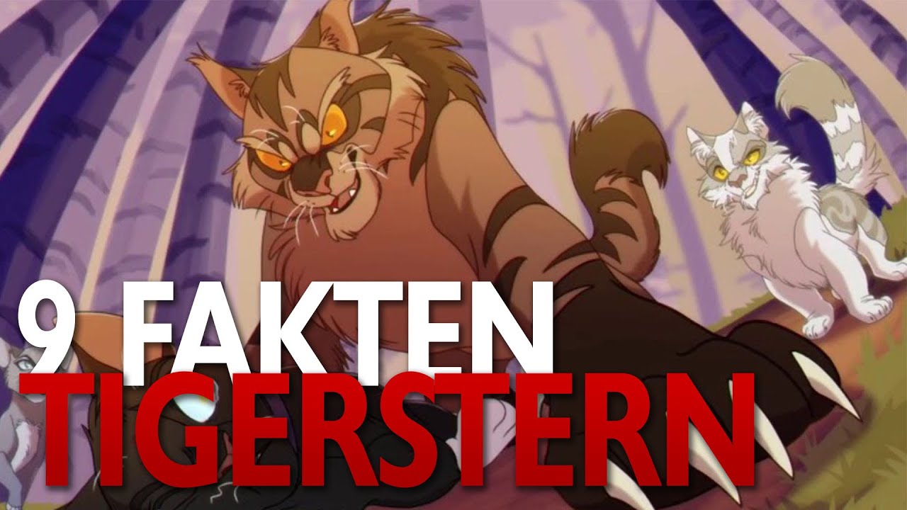 9 Fakten über Tigerstern Tigerkralle Warrior Cats Fakten Youtube