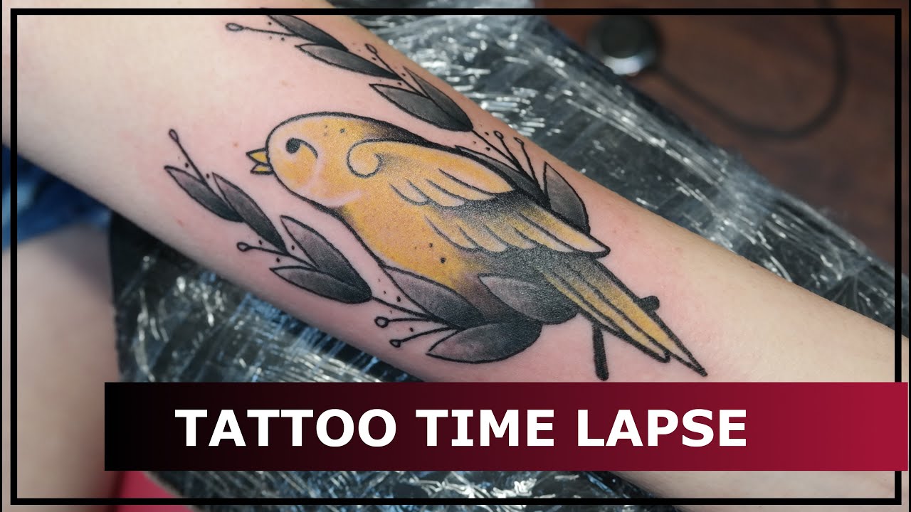 Tattoo Time Lapse Neo Traditional Bird Youtube
