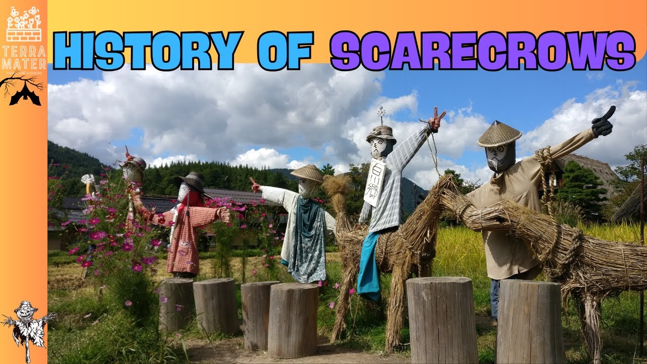 Introduction And History Of Scarecrows Guardians Of The Harvest Youtube