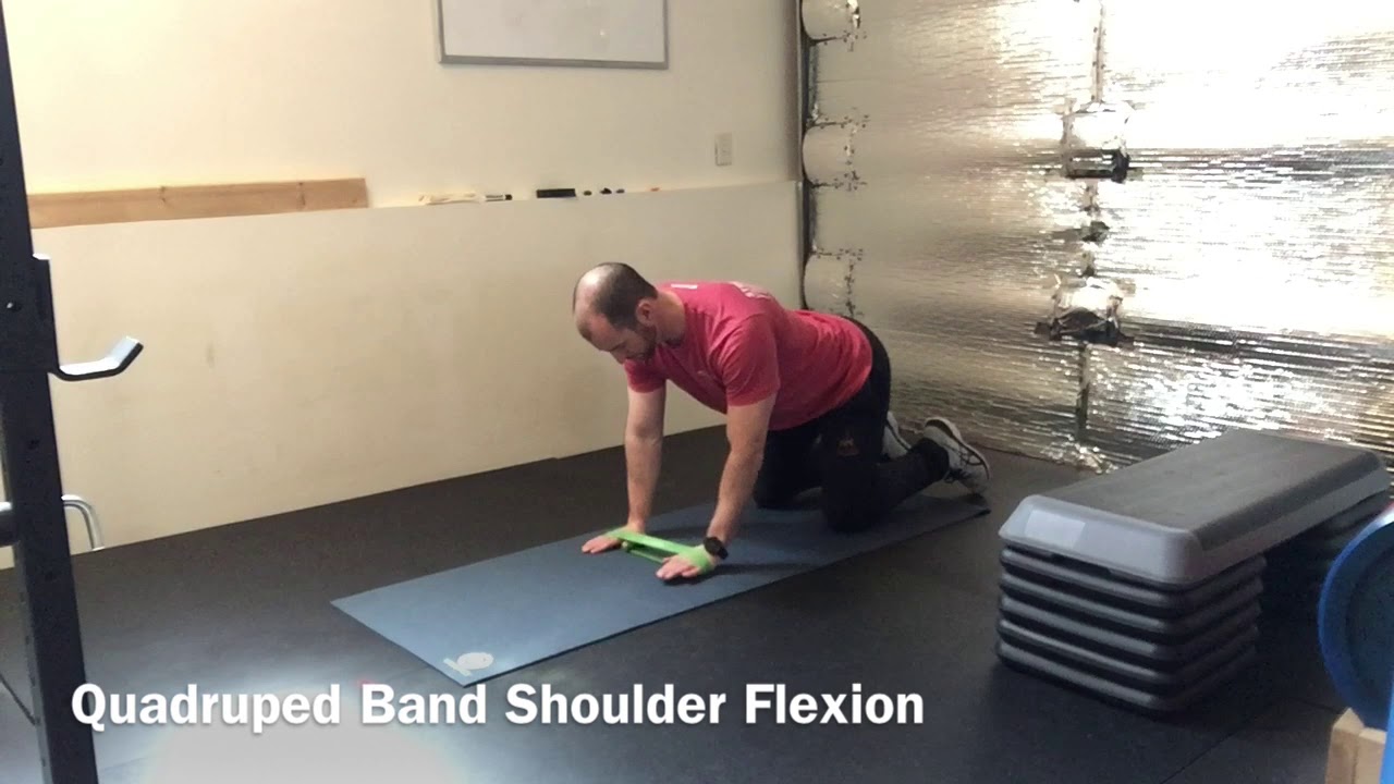 Quadruped Band Shoulder Flexion Youtube