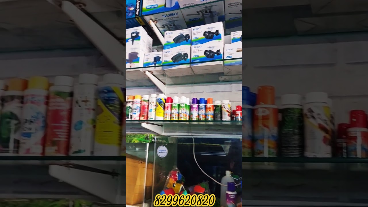 My Caring Cat Housepetscare