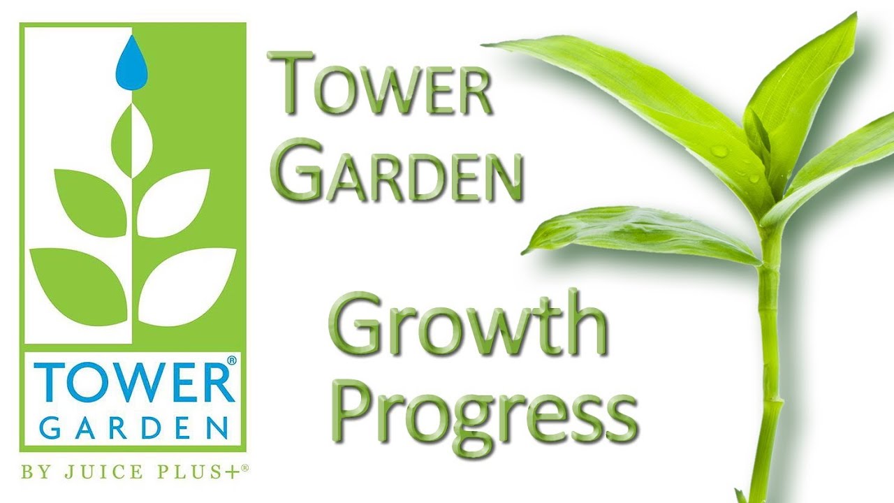 Tower Garden Growth Progress Youtube