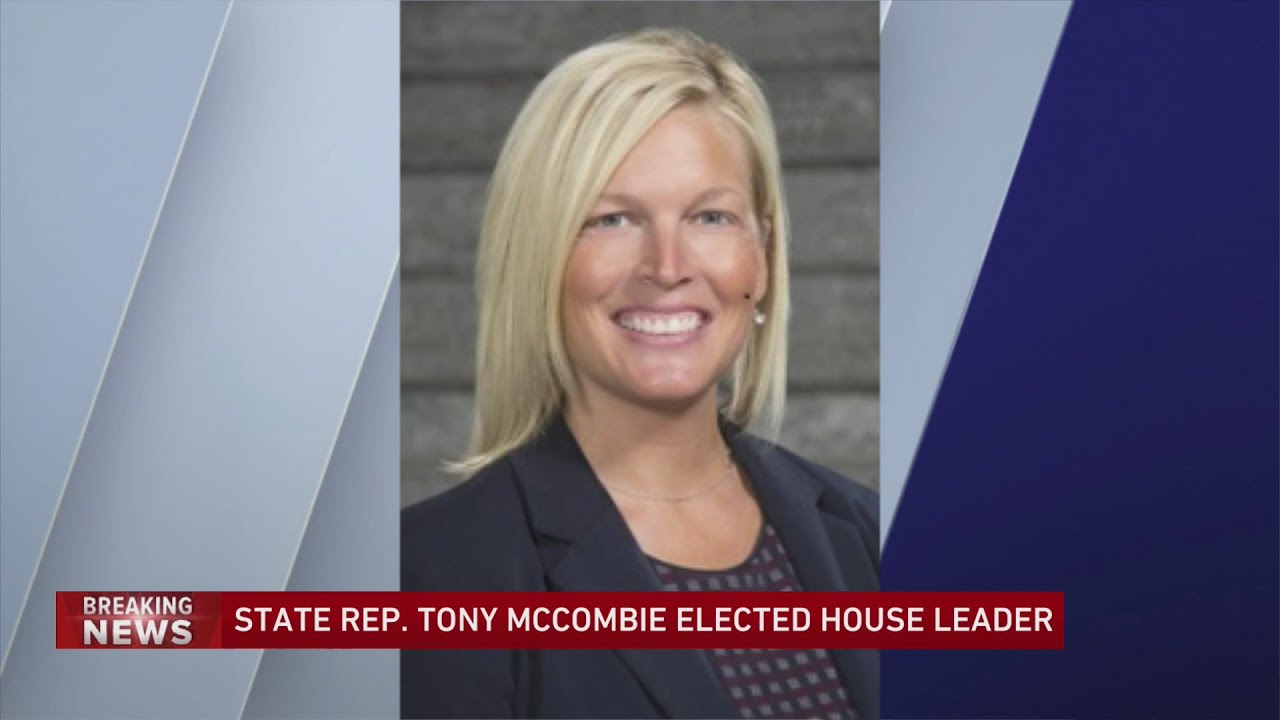 Illinois Rep Tony Mccombie Elected New House Gop Leader Youtube