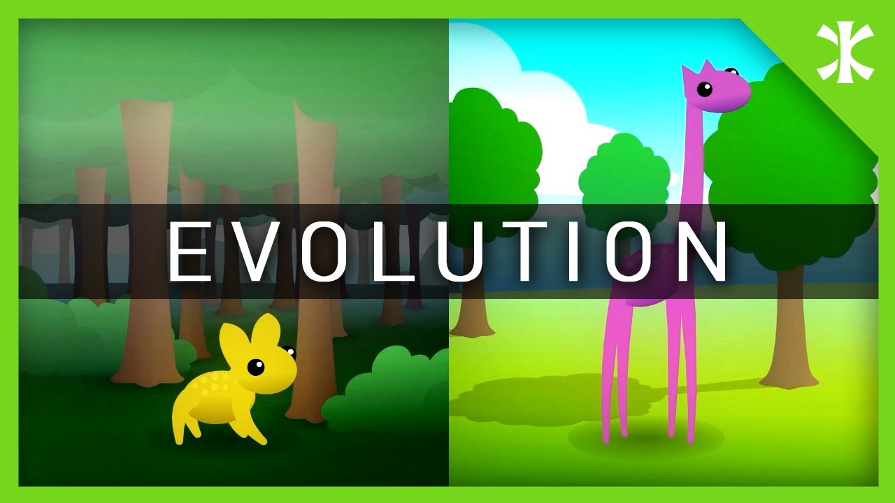 Evolution Explained Youtube