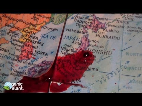 Augureye Express: Fukushhh!