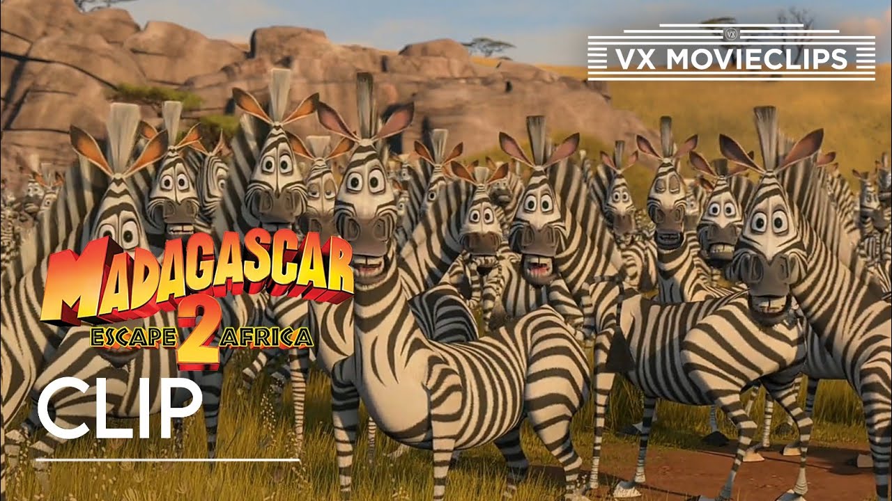 Madagascar 2 Zebre Le 10 Cose Di Madagascar 2 Che Ancora Non