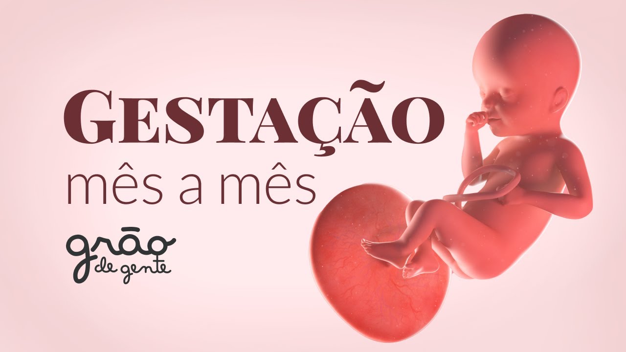 Gestação Semana A Semana Veja Tudo Sobre Gravidez Grão De Gente