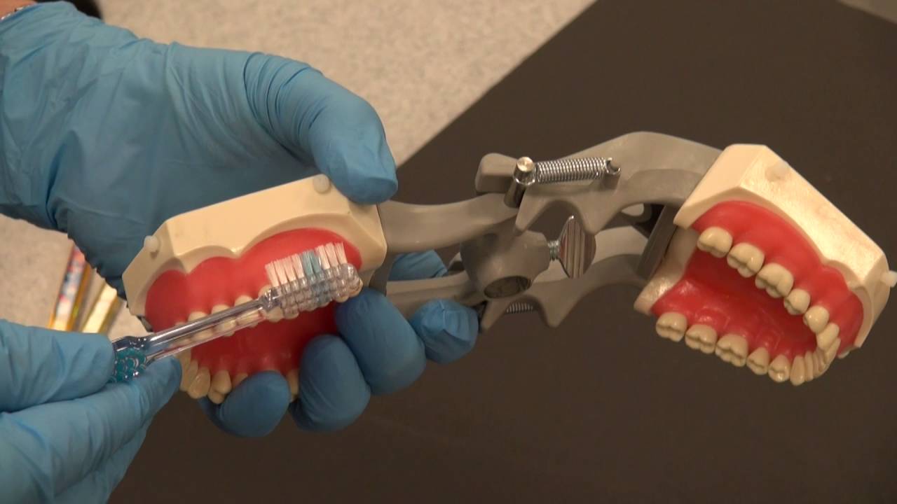 Rollingstroketoothbrushing Youtube