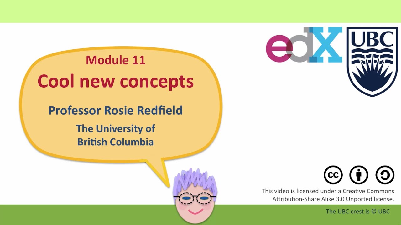 Module 11 Overview Youtube