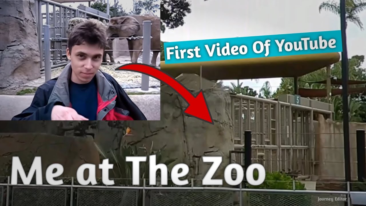 Mee At The Zoo Youtube First Video Mee At The Zoo Jawed Karim Video