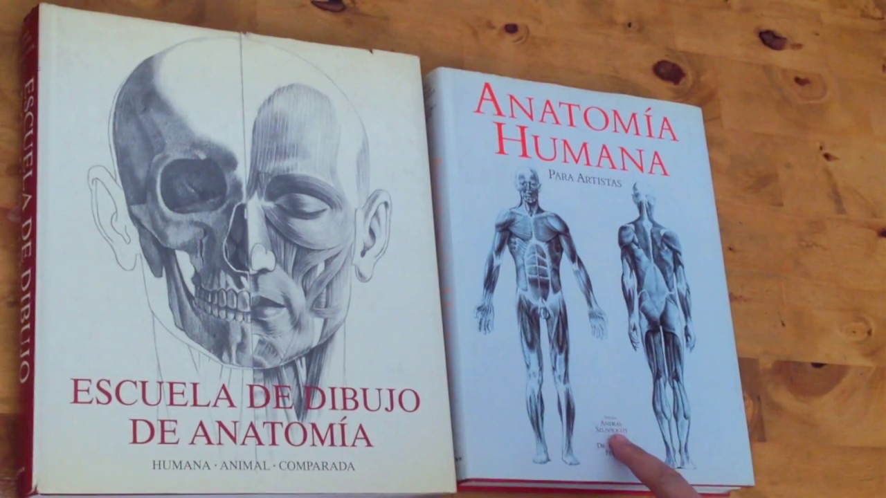 Libros De Anatomia Para Artistas Pdf Gratis Leer Un Libro