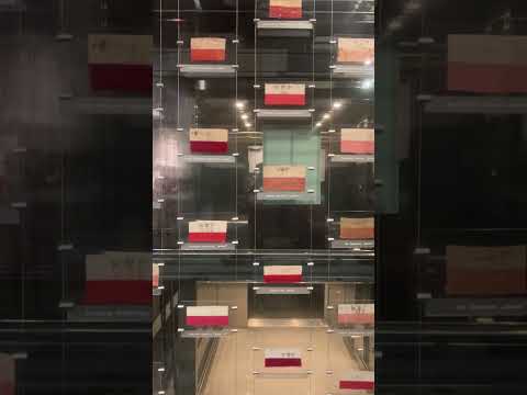 Pw7 Youtube