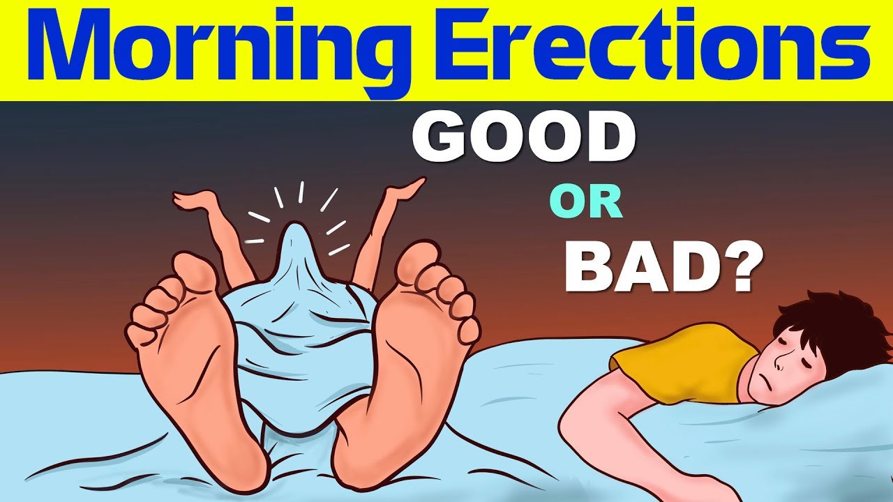 Morning Wood Morning Erections Good Or Bad Why People Get